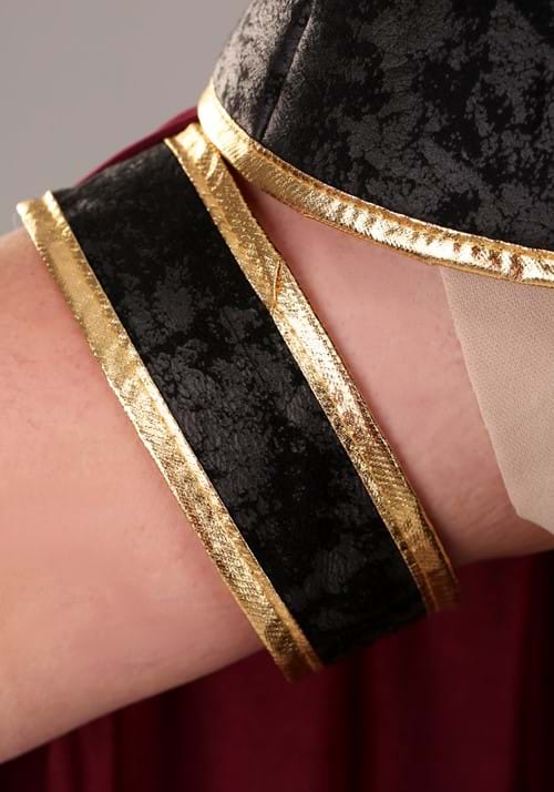 Men's Plus Size Roman Gladiator Costume