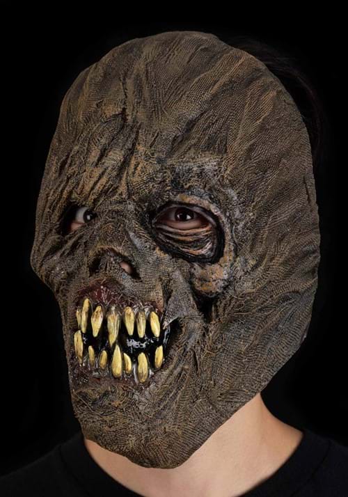 Adult Scarecrow Full Face Mask